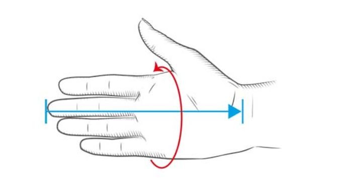Quick and Easy Palm Width Measurement: The Ultimate Guide for Glove ...